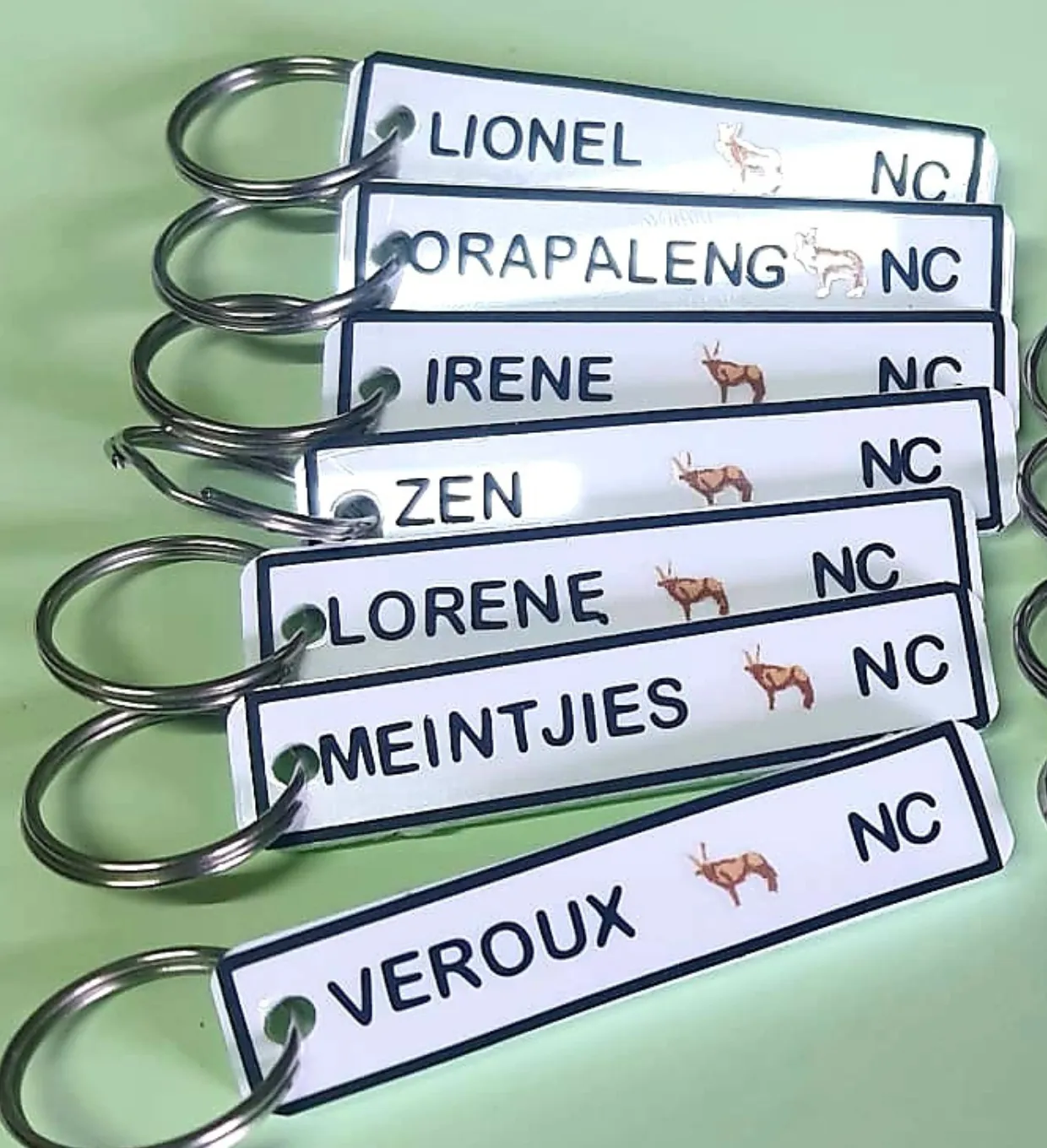 Numberplate keyring - MJ Printing - Printing Service